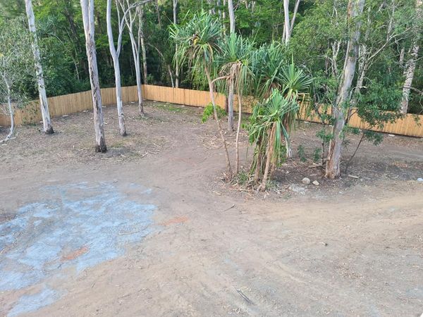 Gallery | Jungle Zoo