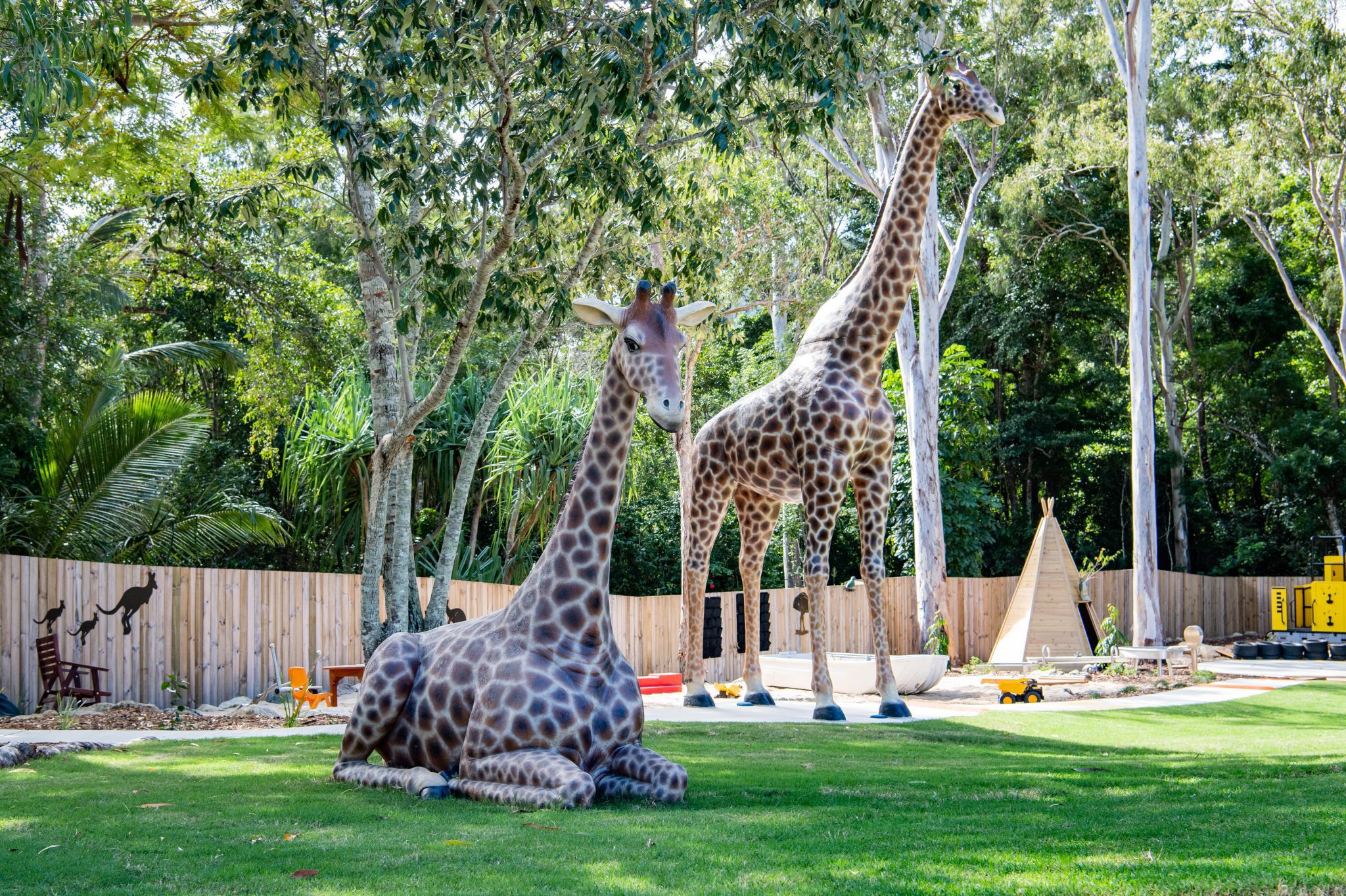 Gallery | Jungle Zoo